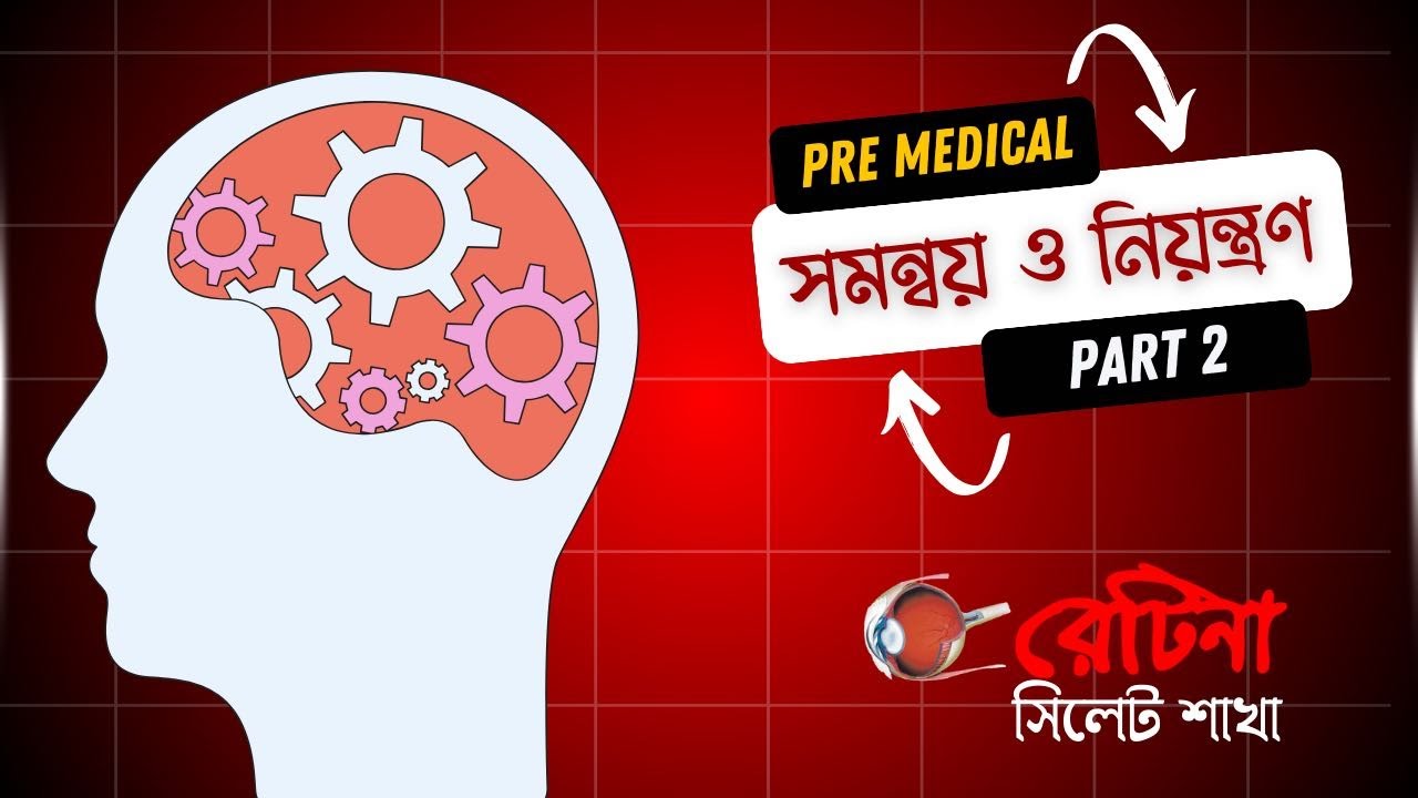 Retina Sylhet 's broadcast - YouTube