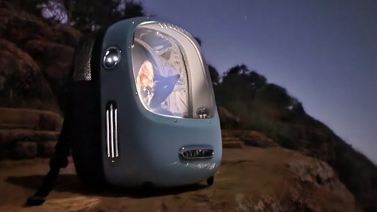Petkit BREEZY SMART CAT CARRIER FOR TUX - YouTube