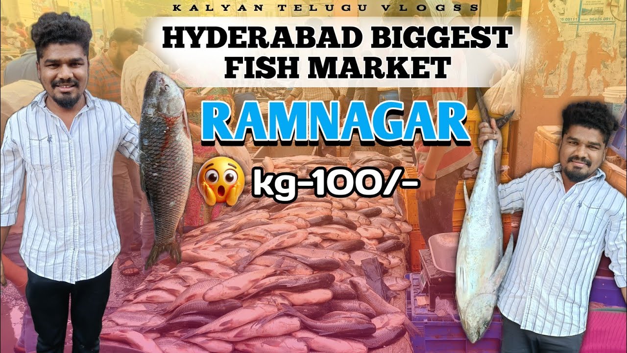 HYDERABAD BIGGEST FISH MARKET RAMNAGAR | Ramnagar fish market | kg fish ...