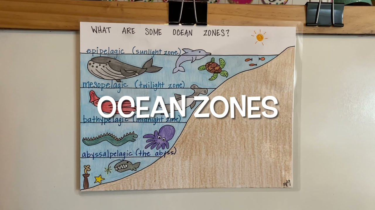 Classical Conversations, Cycle 1, Week 19, Science - YouTube