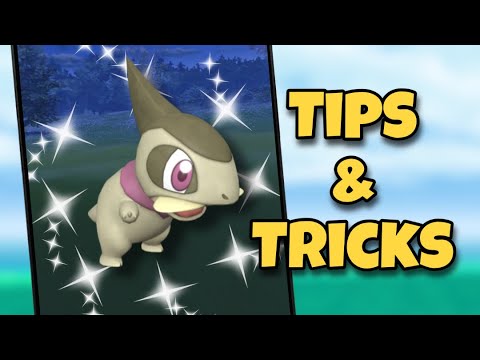Tips & Tricks For Axew Community Day In Pokémon GO! - YouTube