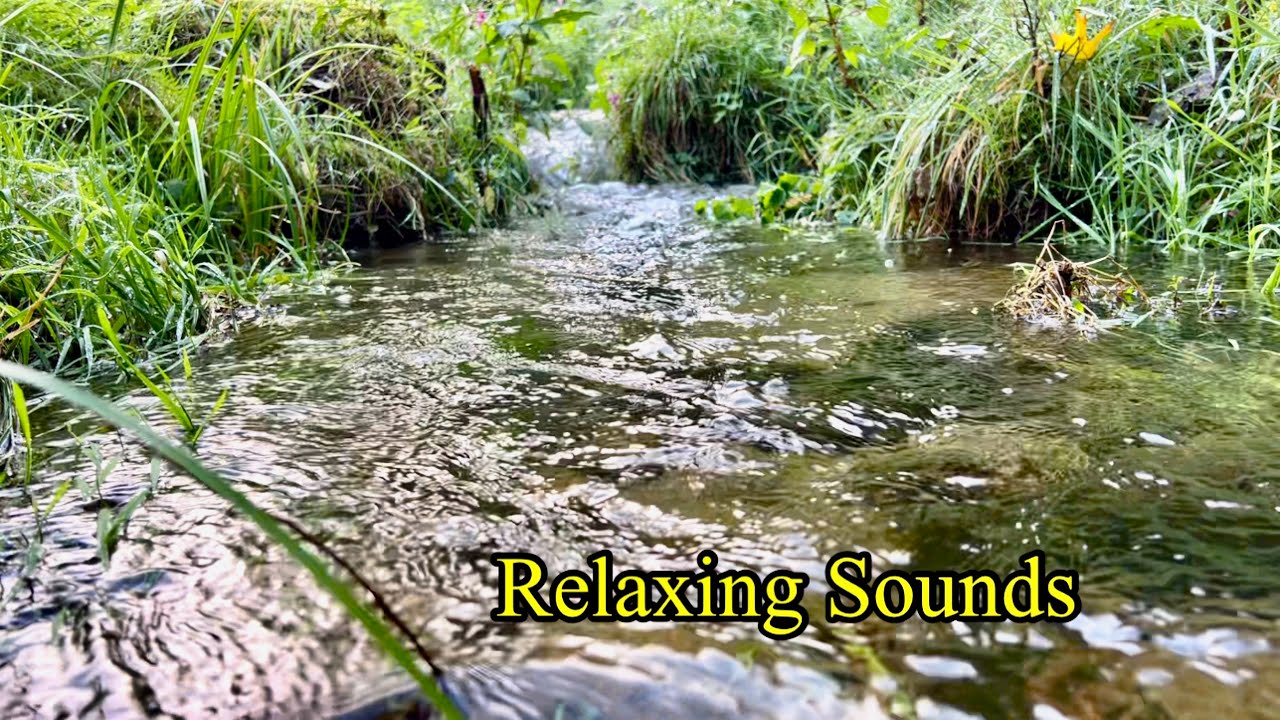 Mountain River Sounds / Running river sounds relaxing / Birds sounds ...