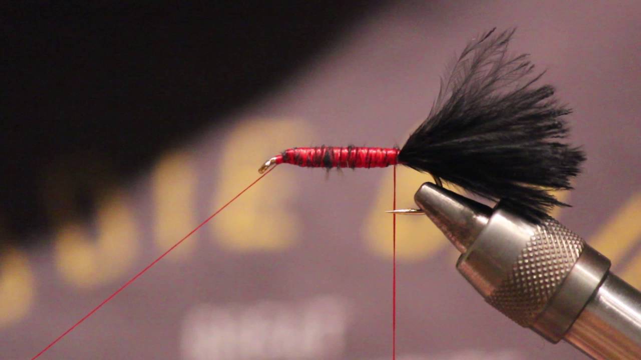 Hale Bopp Leech Fly Tying Tutorial - YouTube