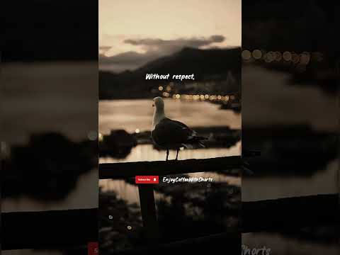 Relationship status ❤ motivational quotes | relationship quotes #motivation #relationship #shorts