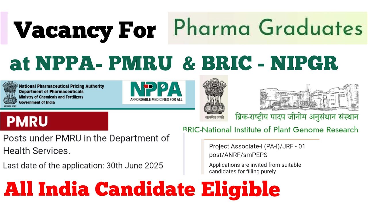 Pharma Graduate Vacancy at NPPA - PMRU & BRIC - NIPGR / All India ...