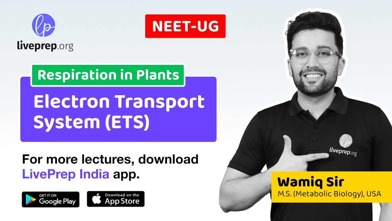 electron Transport System (ETS) - Respiration in Plants - NEET Biology ...