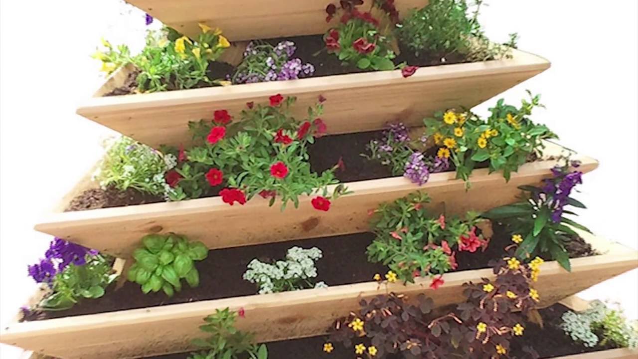 Pyramid Planting Garden in your home - YouTube