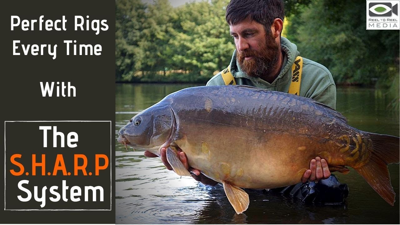 Carp Fishing Rigs ~ Tie Perfect Rigs Every Time With The Sharp System ...