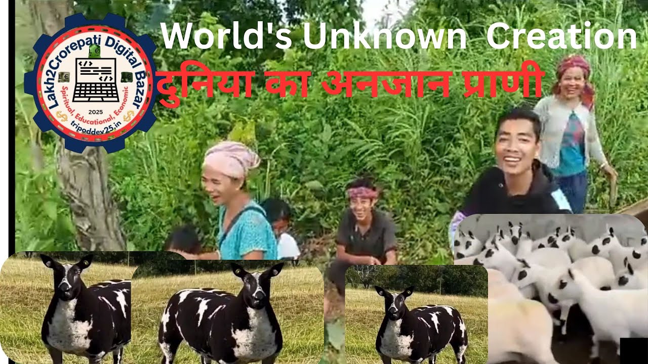 World's Unknown Creation दुनिया का अनजान प्राणी - YouTube