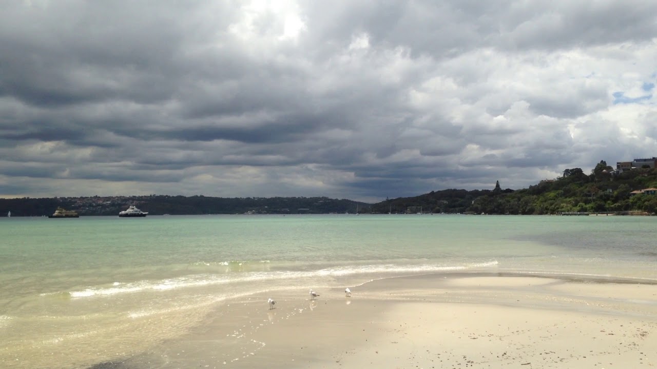 Rose Bay Park Beach, Sydney - YouTube
