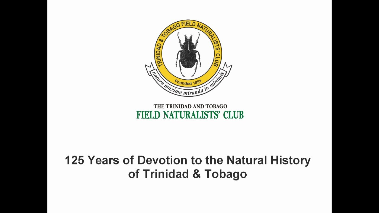 Welcome to the Trinidad and Tobago Field Naturalists' Club - YouTube