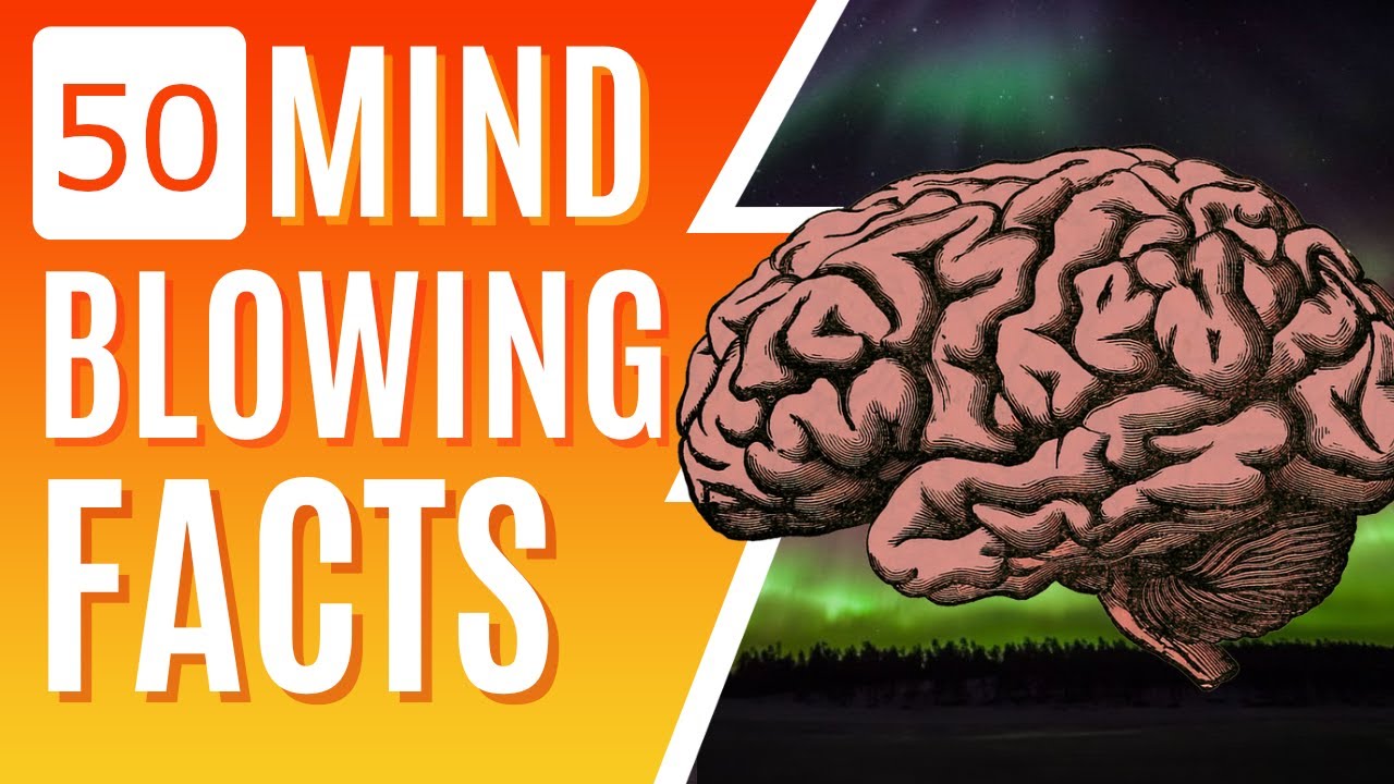 50 Interesting Random Mind Blowing Facts You May Not Know - YouTube