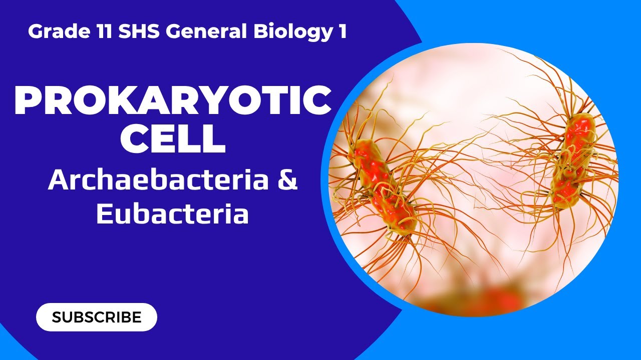 Prokaryotic Cell | Grade 11 General Biology 1 1st Quarter Tagalog - YouTube