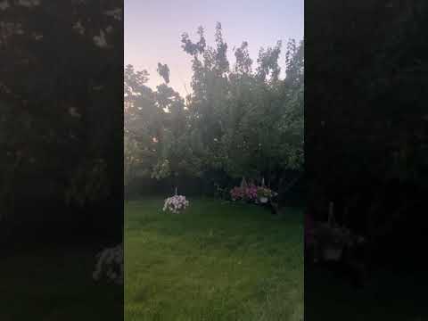 İkbal Gürpınar'la Seher Sohbeti 6