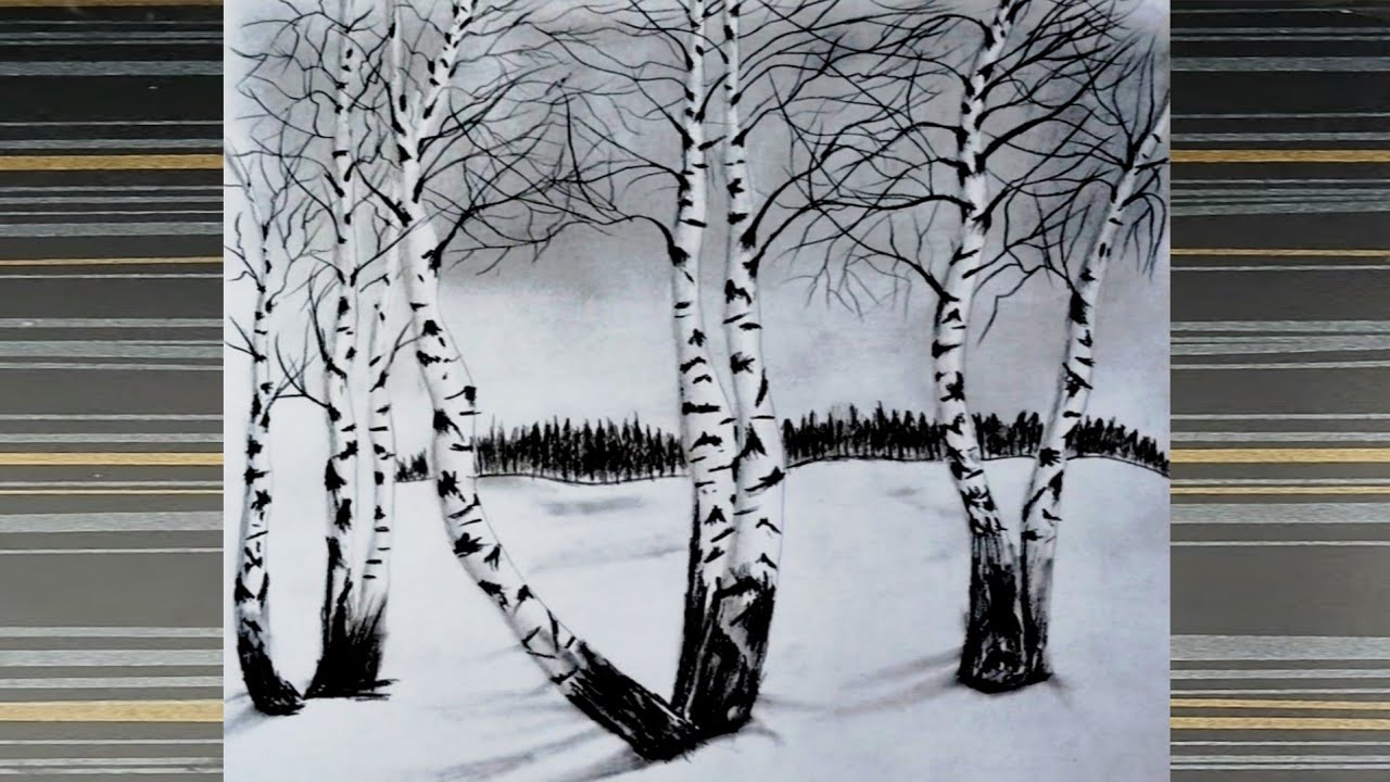 How to Draw Birch Trees Landscape Drawing with Charcoal Pencil Step by ...