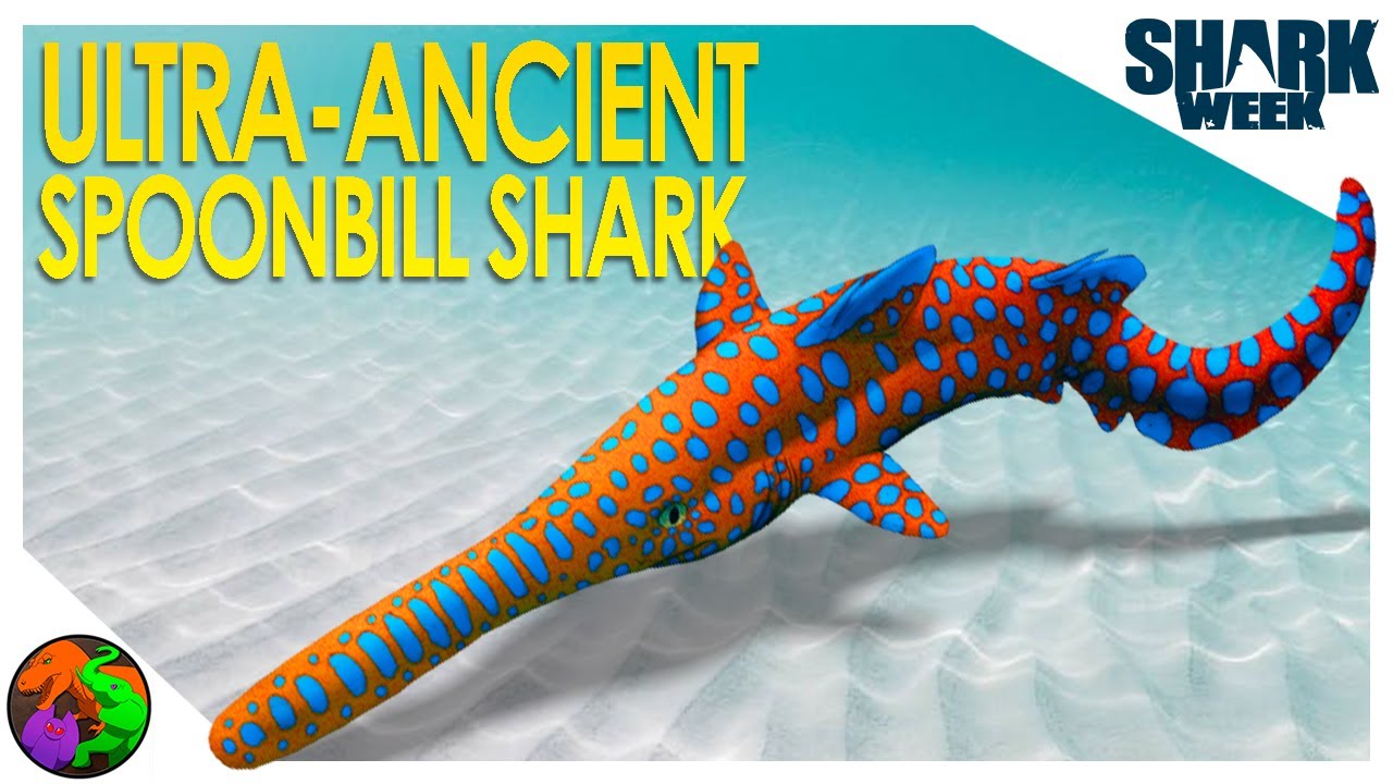 Ultra-Ancient Spoonbill Shark & Oldest Shark Nursery on Record ...
