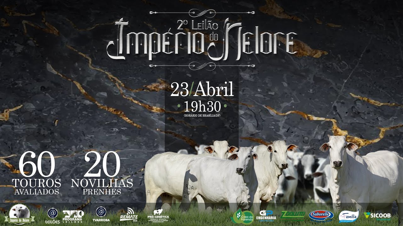 LOTE 57 SBLL1917 SBLL1985 - YouTube