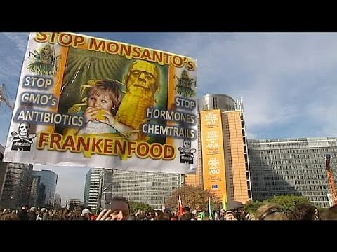 GDO ve Monsanto'ya dünya çapında protesto