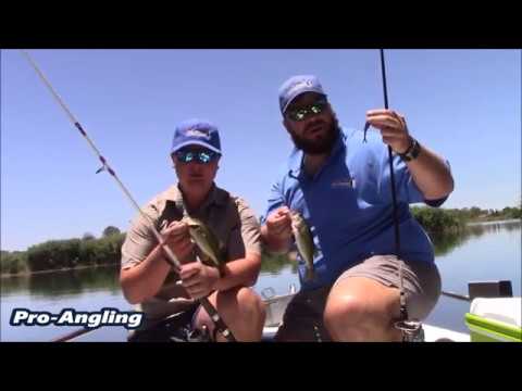 Bass Fishing: Catching countless Bass at Potch Dam. - YouTube