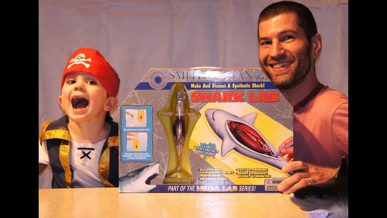 Science Fun For Kids Smithsonian Institution Synthetic Shark ...