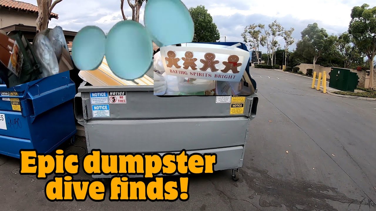 UNBELIEVABLE ! THIS MASSIVE DUMPSTER DIVE HAUL. YOU HAVE TO SEE IT TO BELIEVE IT! - YouTube