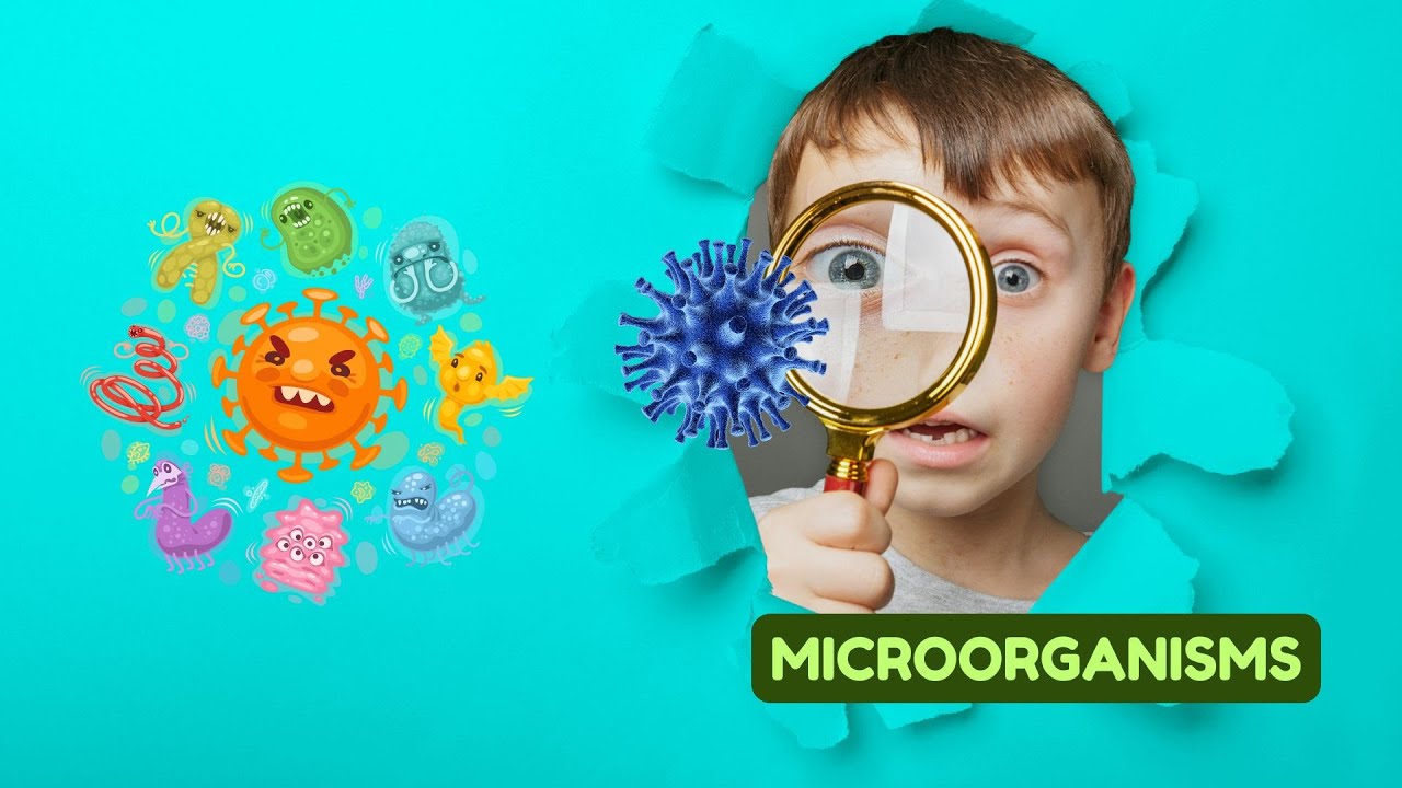 Tiny Creatures, Huge Impact: Microorganisms for Kids! - YouTube