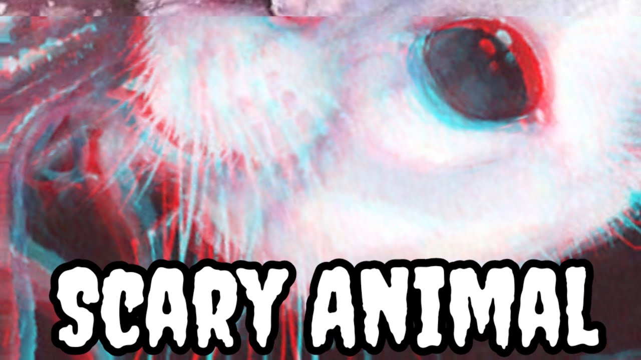 Animal Horror movie seen|Coming soon- Horror Animation movie Animal ...