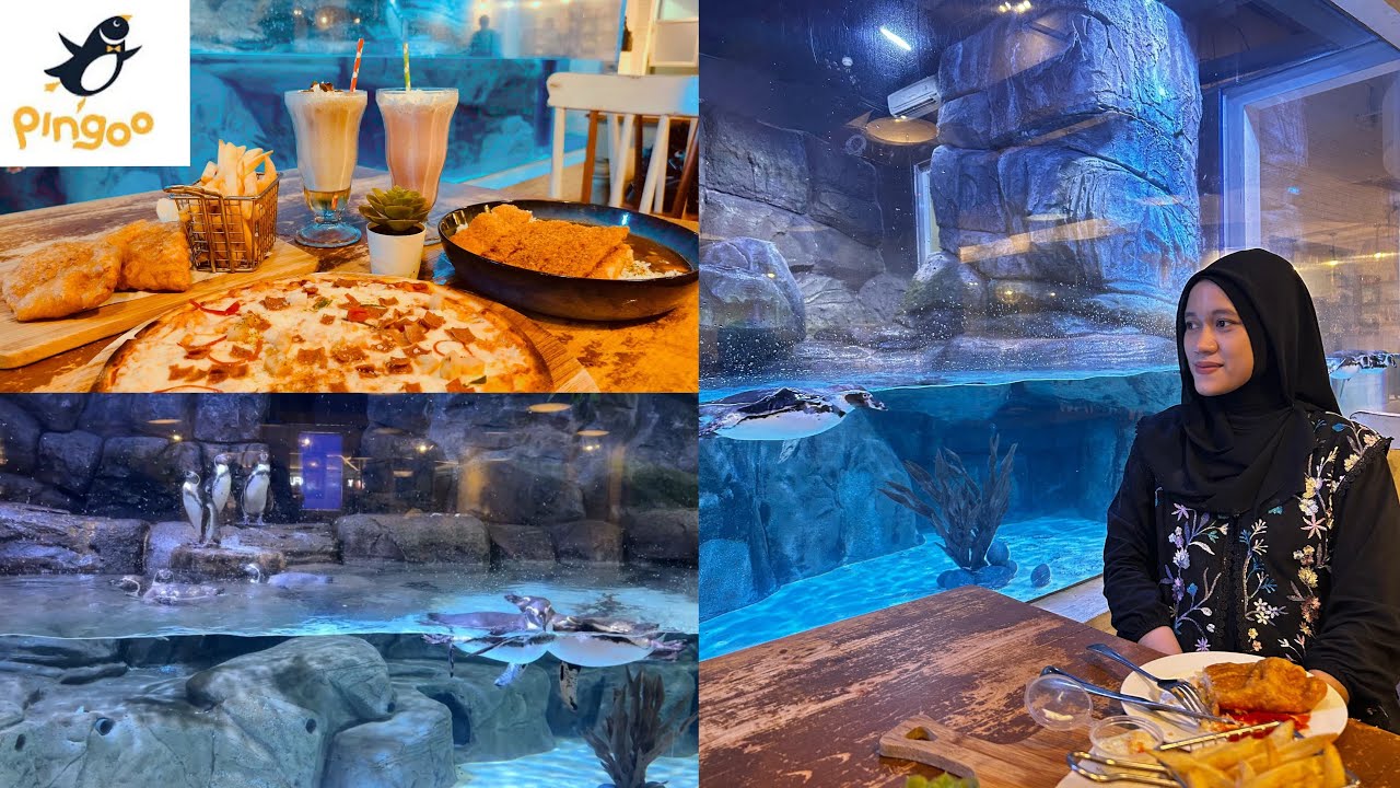 PINGOO RESTAURANT NEO SOHO MALL || PARADE DAN FEEDING PENGUIN - YouTube