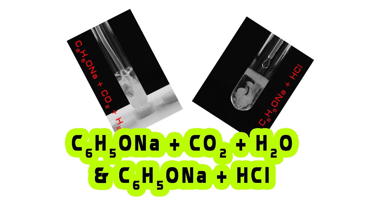 C6H5ONa + CO2 + H2O và C6H5ONa + HCl. Sodium phenolate TD với carbonic ...