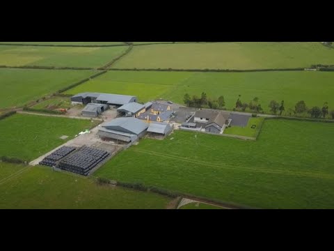 Merlin Robot - Jim O Brien - YouTube