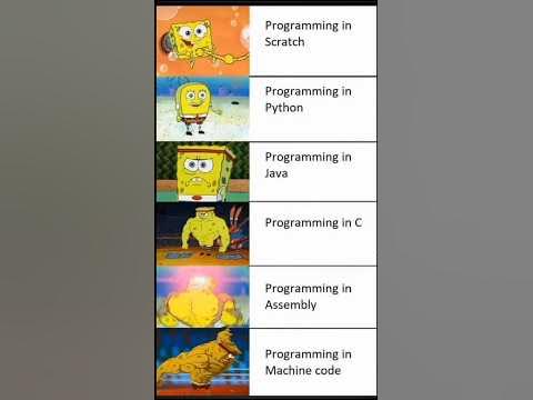 Welcome to Programming World #coding #webdevelopment #webdesign #developer #memes #funny #shorts ...