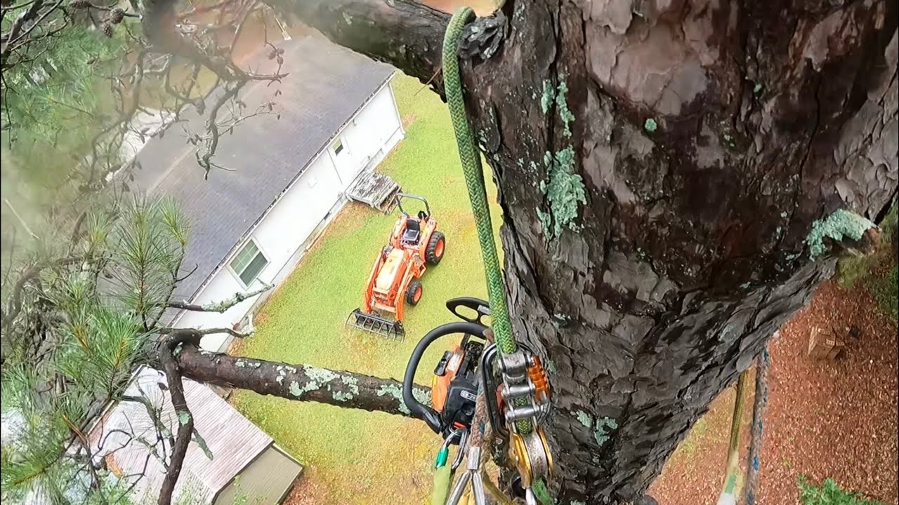WE’RE BACK WITH ANOTHER ONE!!!!! “Tree Removal” #ZML EHC Pressure ...