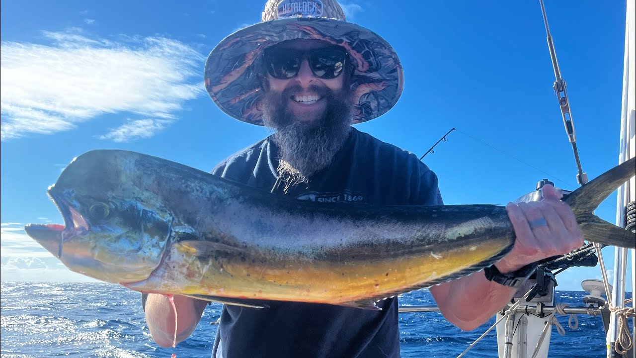 Fish on da Boat🤙🏽⛵️ - YouTube