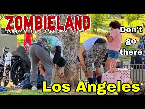 Zombieland Los Angeles / MacArthur Park / zwei Wochen nach der größten DEA-Razzia immer noch schlimm