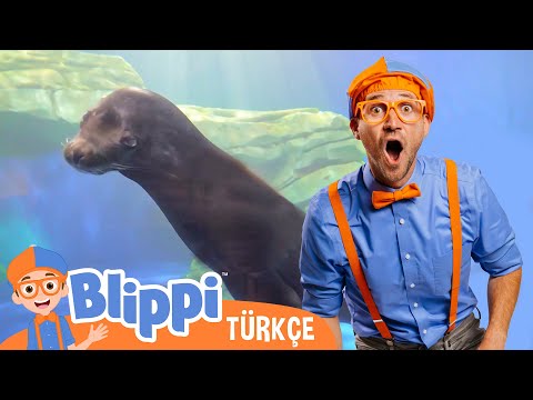 Blippi DEV akvaryumu keşfediyor! | Blippi Türkçe - Çocuklar için Eğitici Videolar