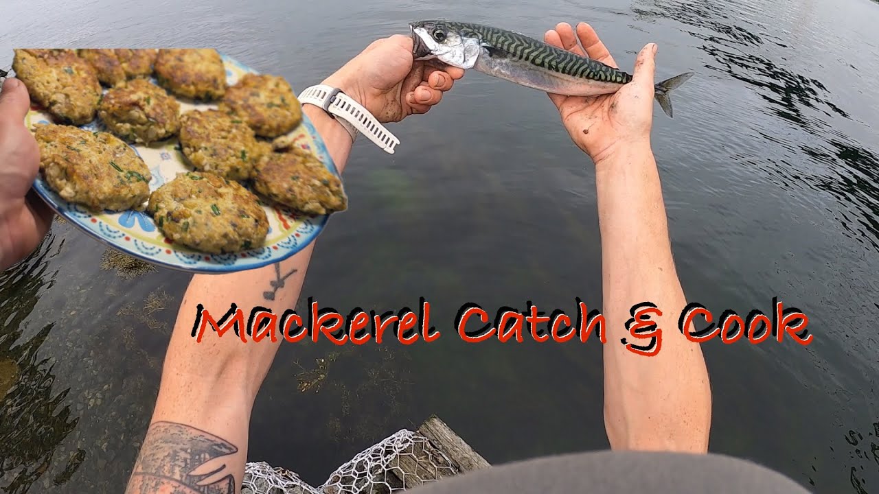 Mackerel catch & cook | fish cakes 👨🏻‍🍳 - YouTube