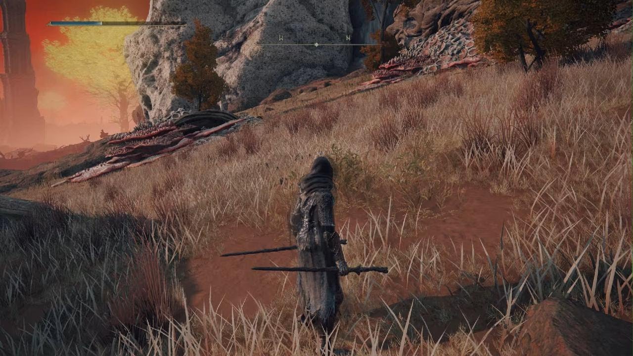 Dual Wield Staff of Loss 055: The Wizard Clears Caelid - YouTube