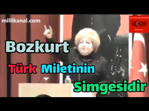 #bozqurd #bozkurt #Türk                           bozkurt, her hangi bir parti simgesi değil.