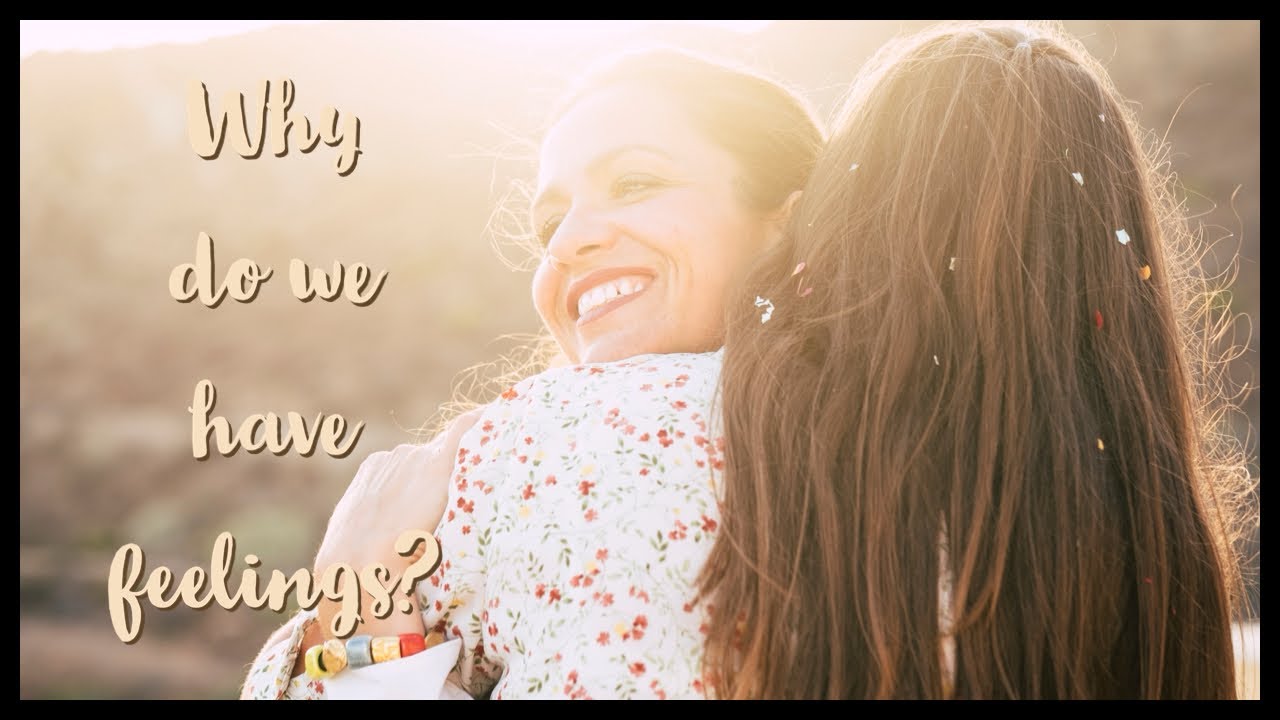 Why do we have feelings? (Feelings Part 2) - YouTube