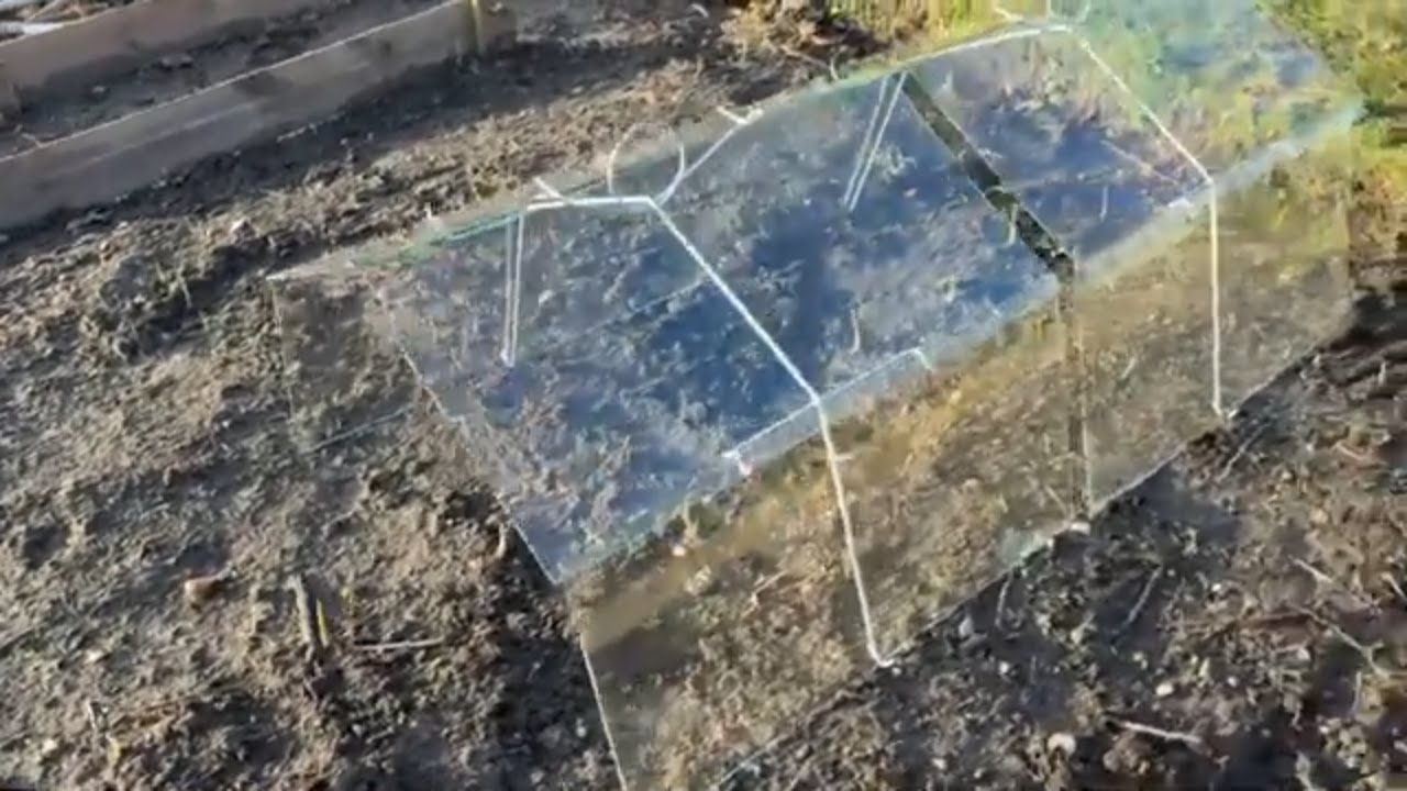 Glass Barn Cloches - The Victorian Gardening Secret That Will Change ...
