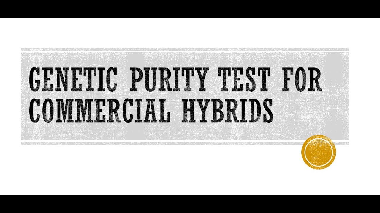 Genetic Purity Test for Commercial Hybrids | Commercial Plant Breeding ...