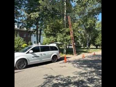 Irl con wavy - YouTube