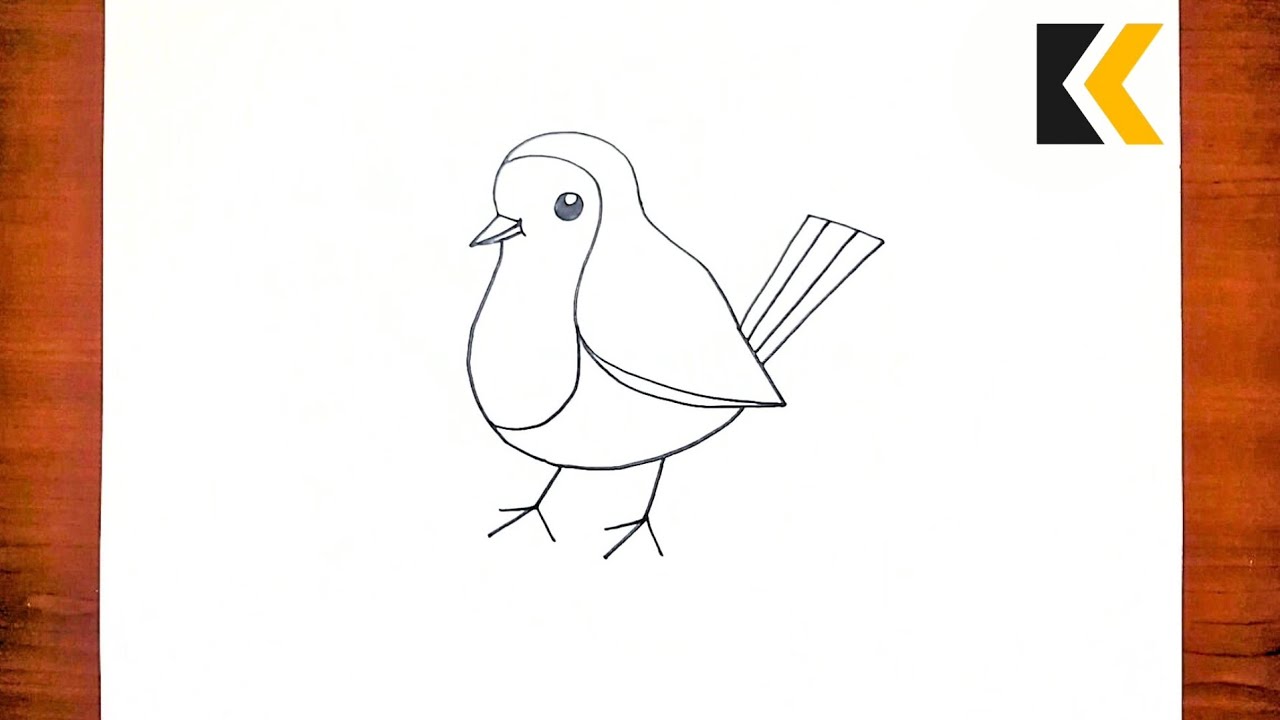 How To Draw Robin Redbreast Bird | Draw Animals Easily - YouTube