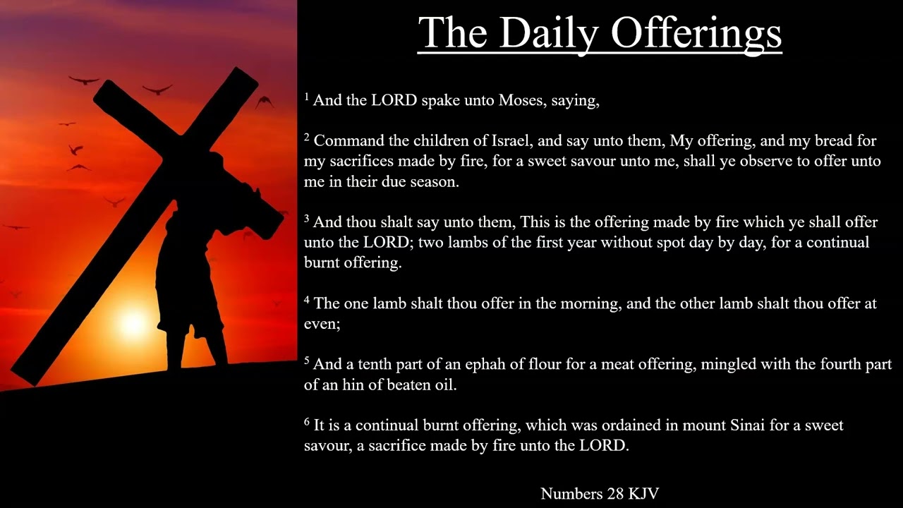 Numbers 28 KJV | The Daily Offerings - YouTube