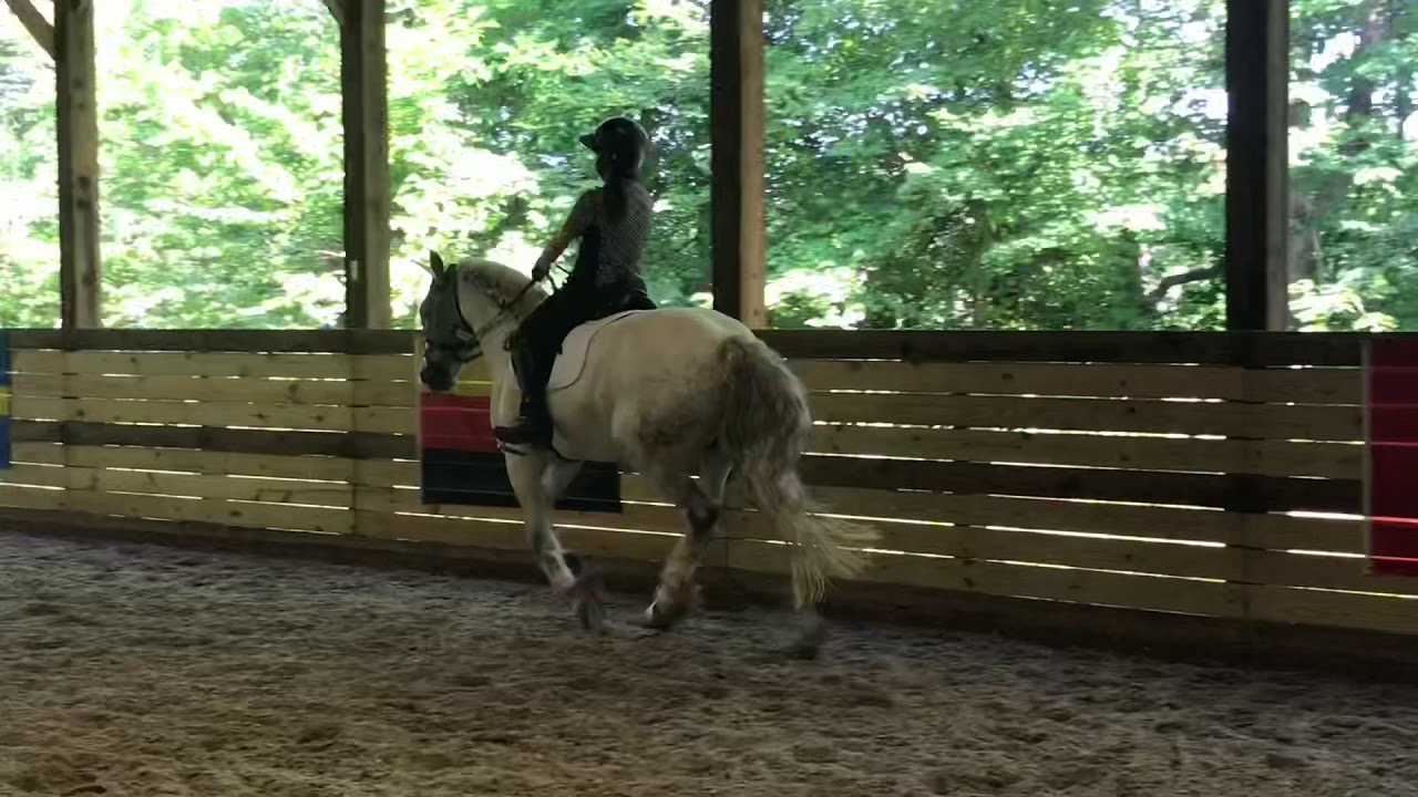 Riding my fell pony, Cordelia - no irons today. ️🦄 ️ - YouTube