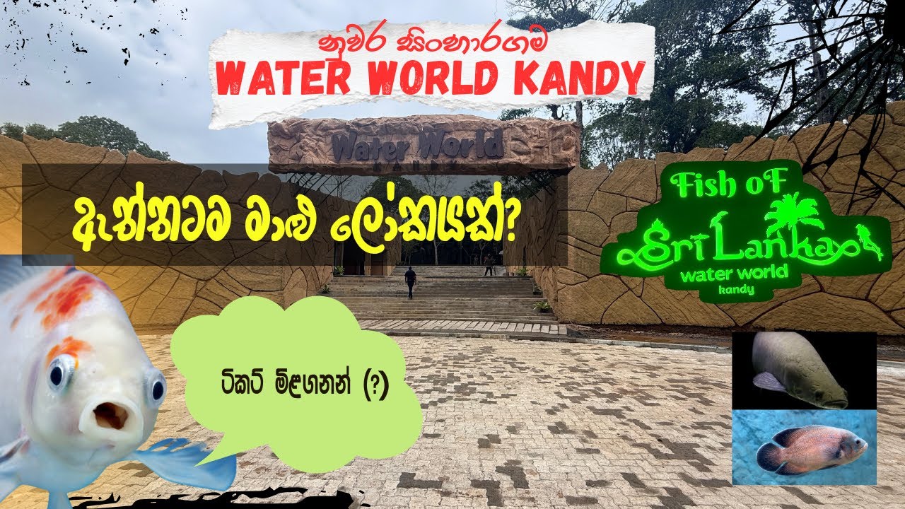 Water World Kandy Sinharagama | Is It Worth Visiting For Money? (Full ...