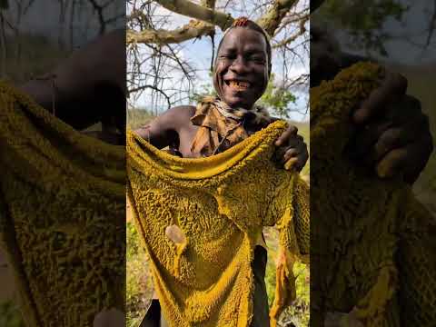 #africa #wildlife #colonelkkjϟ #food #duet #animals #documentary #onlyߙjesus #nature #rㅤgm