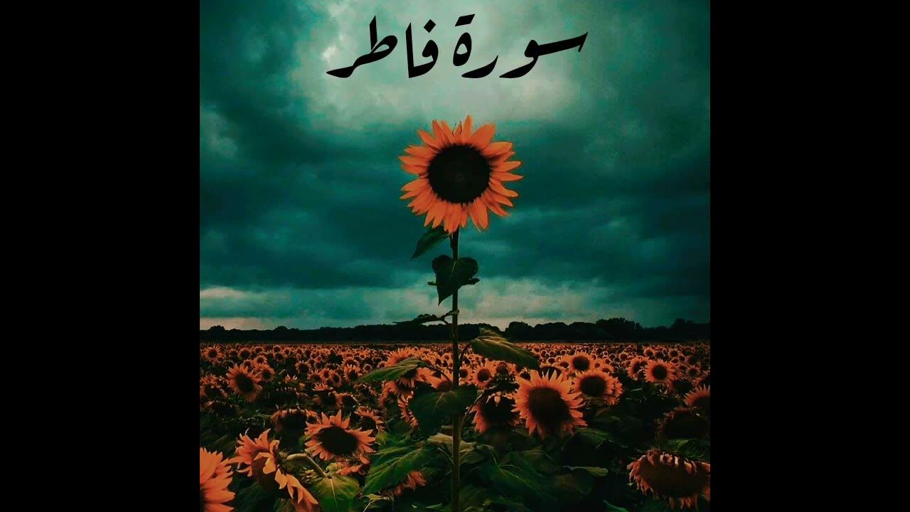 إِنَّ الَّذِينَ يَتْلُونَ كِتَابَ اللَّهِ وَأَقَامُوا الصَّلَاةَ