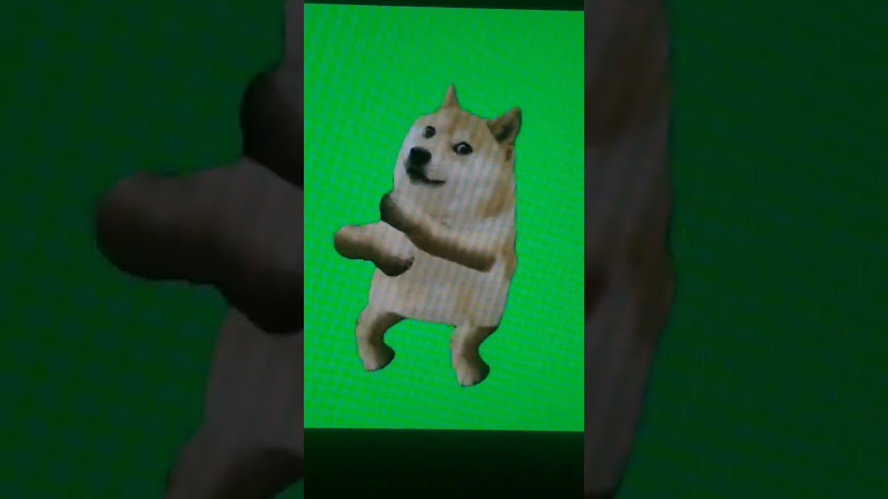 #danceing dog - YouTube