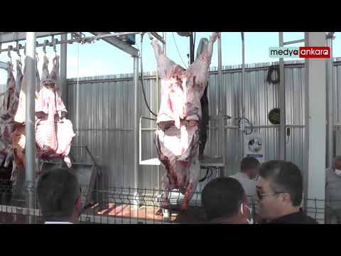 Pursaklar Belediye Başkanı Ertuğrul Çetin Kurban Kesim Alanını Değerlendirdi